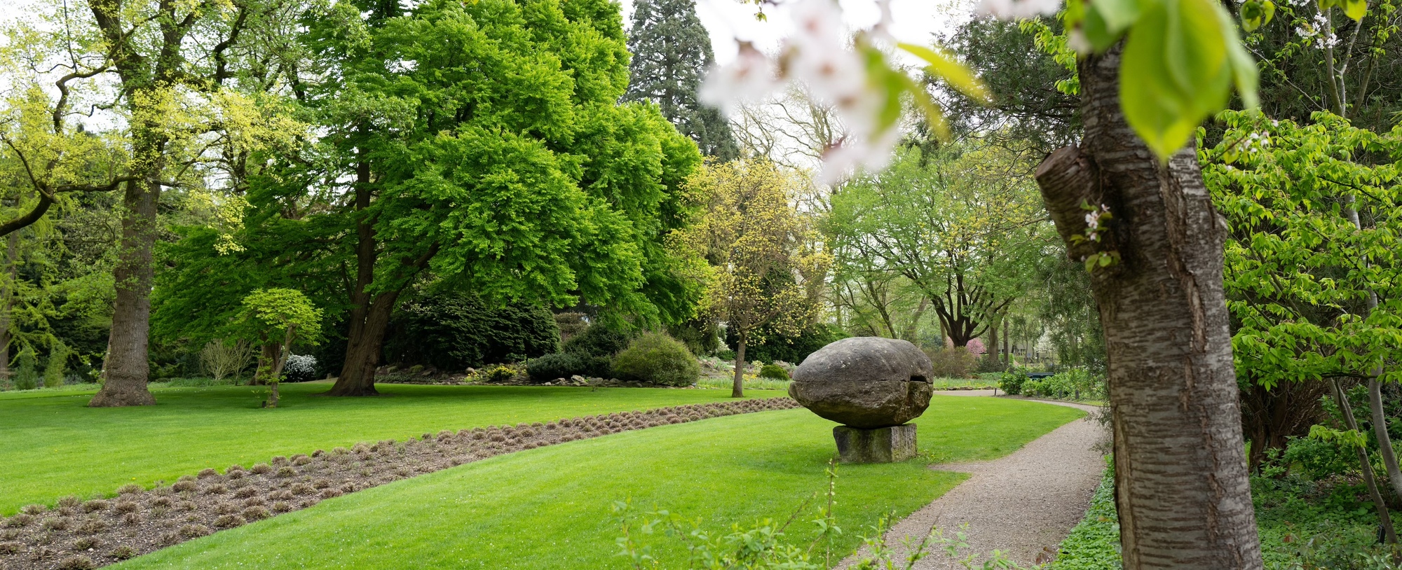 Arboreta | Het Depot - Beeldengalerij in Wageningen